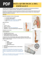 2) Clasificacion Esofagitis | PDF | La enfermedad por reflujo gastroesofágico | Medicina