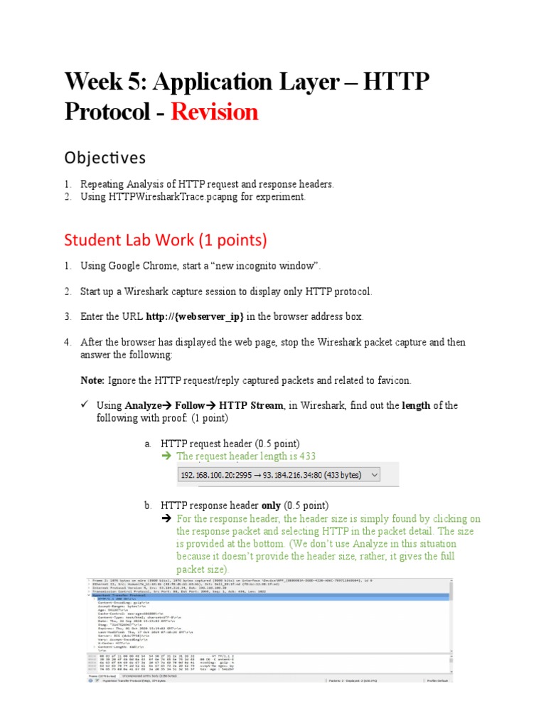 Week 5: Application Layer - HTTP Protocol - : Revision | PDF | Domain ...