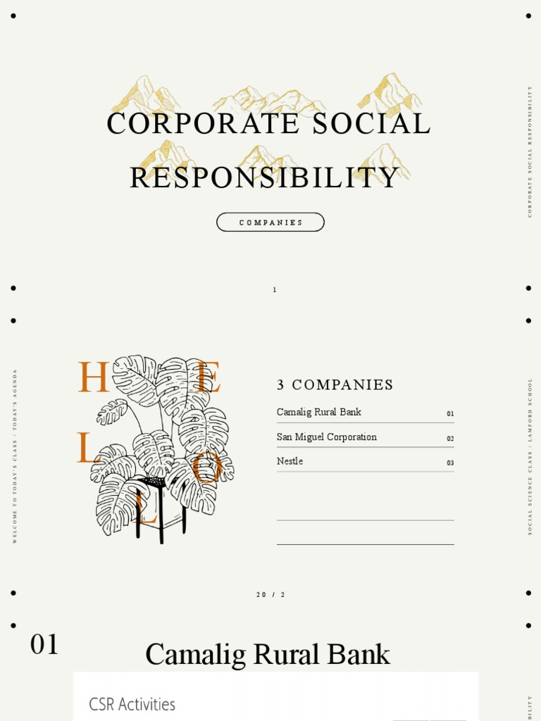 Corporate Socal Responsibility | PDF