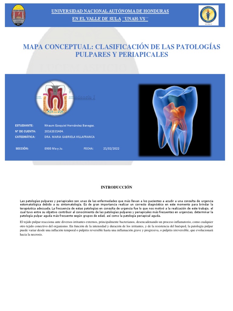 MAPA CONCEPTUAL Patología Pulpar y Periapical | PDF | Inflamación | Medicina CLINICA