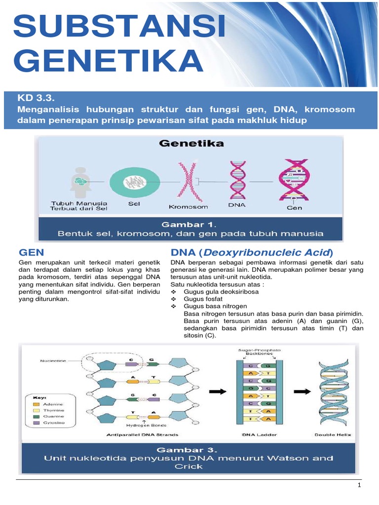 Materi Substansi Genetika | PDF