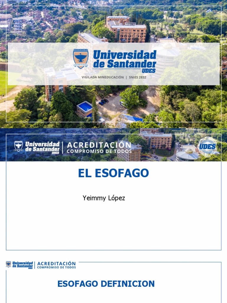 Presentacion Del Esofago | PDF | Esófago | Estómago