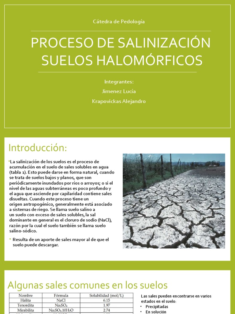 Proceso de Salinización | PDF | Suelo | Sal (química)