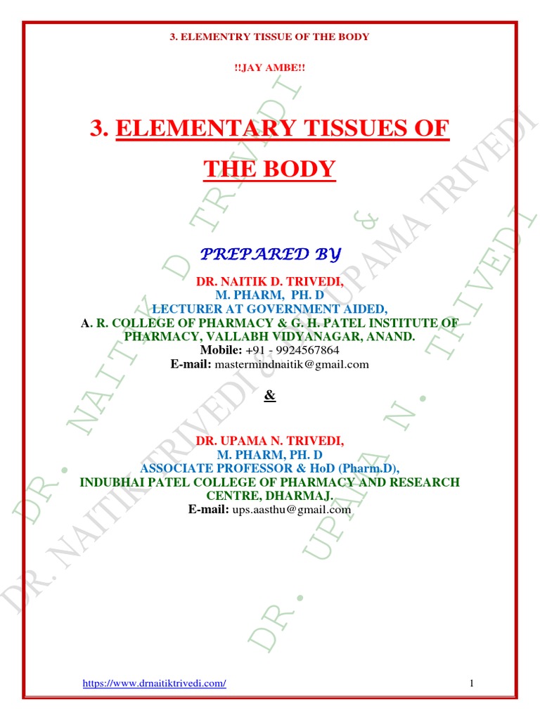 Types of Body Tissues Explained | PDF