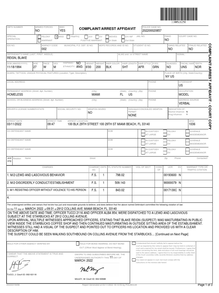Arrest Affidavit of Blake Reign at Miami Beach - March 11, 2022 | PDF ...