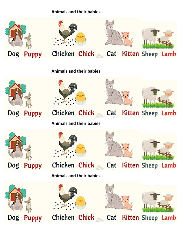 Animals and Their Babies | PDF