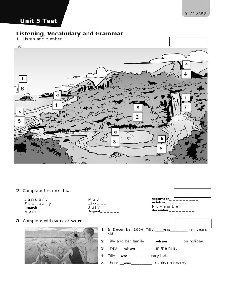 Unit 5 Test: Listening, Vocabulary and Grammar | PDF