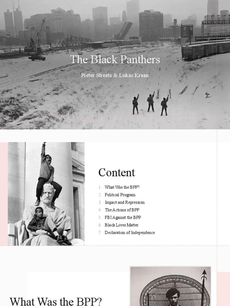 The Black Panthers History | PDF