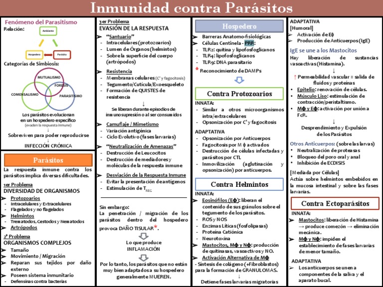 Cuadro 15. Inmunidad Contra Parásitos | PDF | Sistema inmune | Anticuerpo