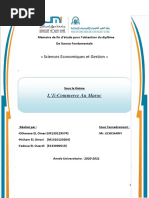Pfe (E-COMMERCE AU MAROC) 555 | PDF