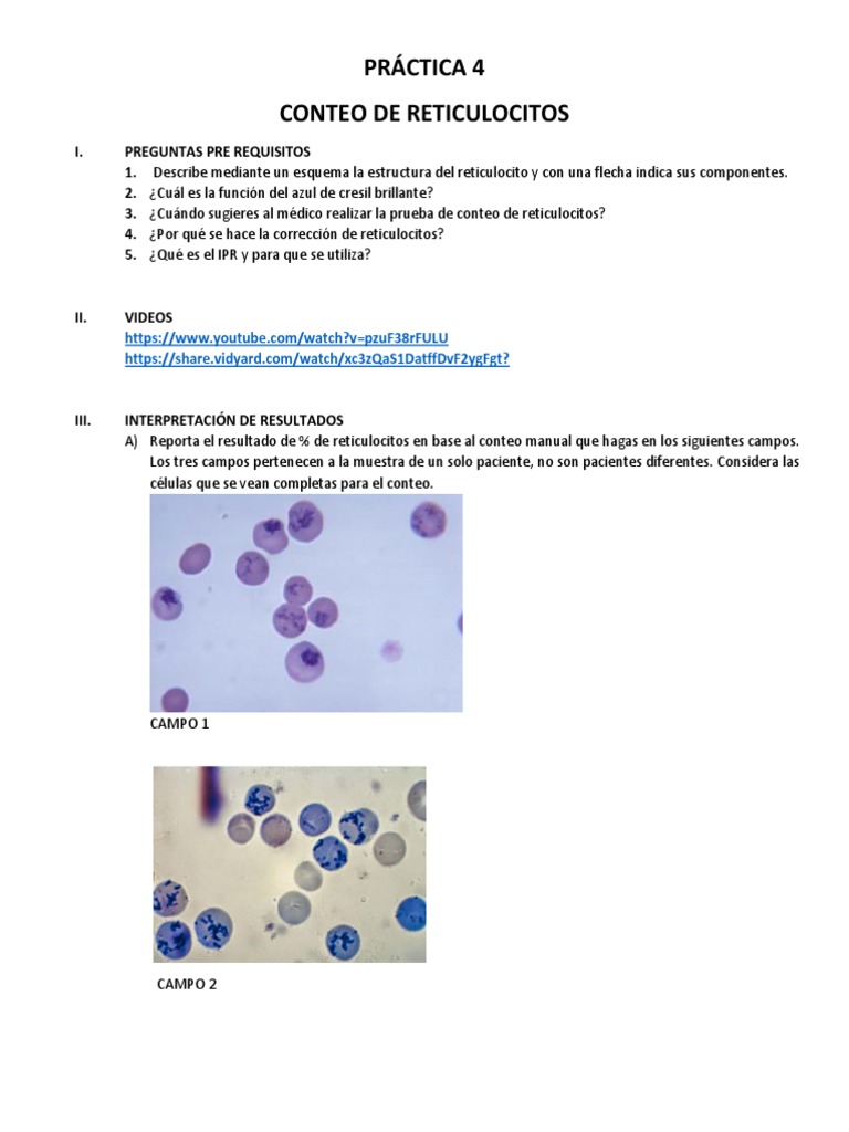 RETICULOCITOS | PDF