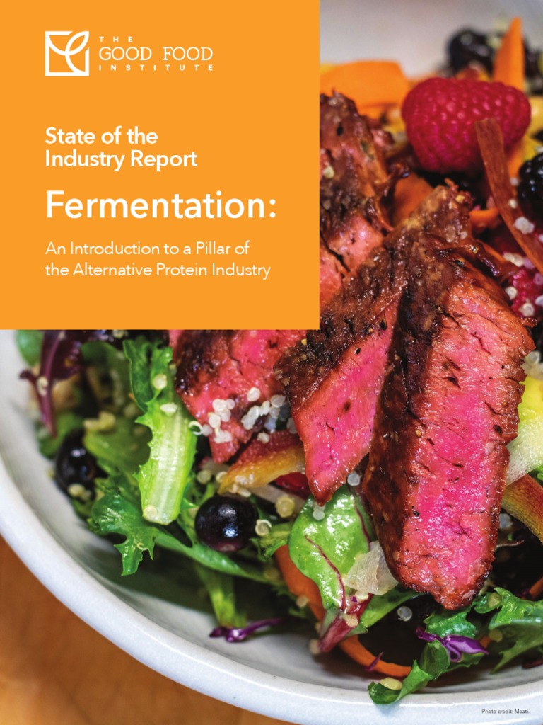 Fermentation - Alternative Protein Industry | PDF | Fungus | Fermentation