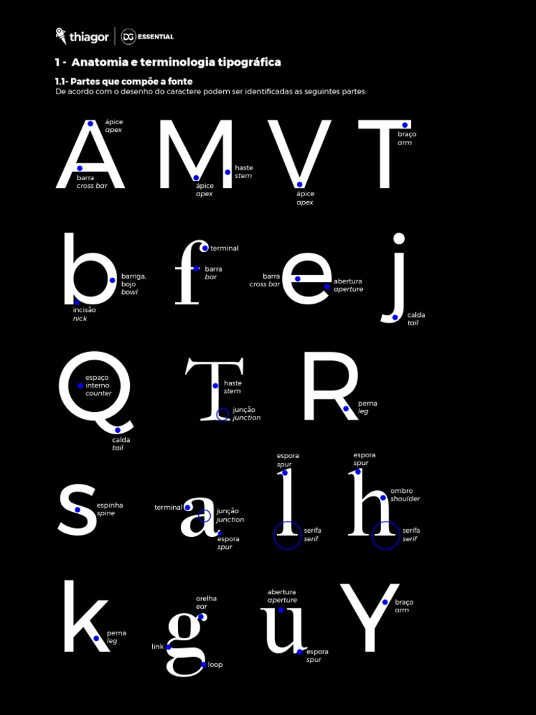 Anatomia Tipográfica | PDF | Texto | Esboço