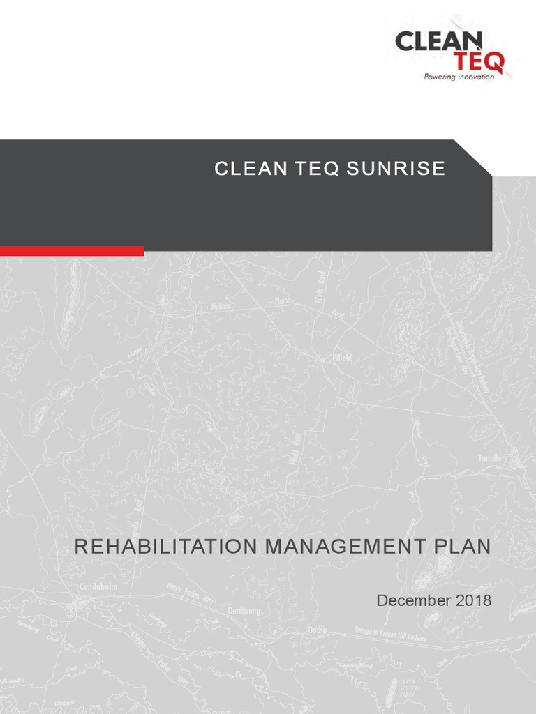 Rehabilitation Management Plan | PDF