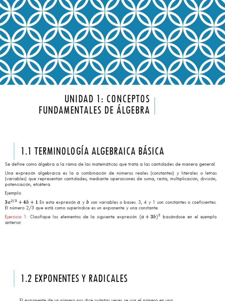 Unidad 1 Conceptos Fundamentales de Algebra | PDF