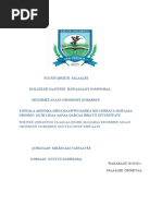 Uffata Aadaa Oromoo | PDF