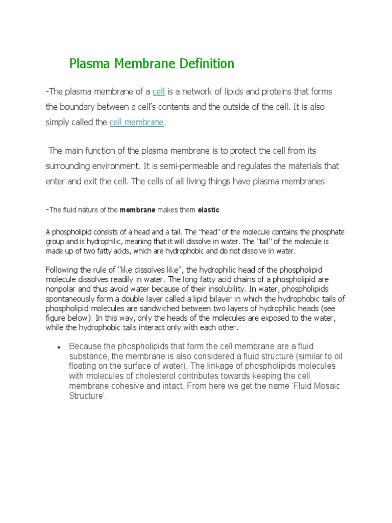 Plasma Membrane Definition | PDF | Cell Membrane | Phospholipid