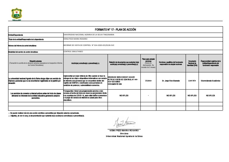 Formato 17 - Plan de Acción | Descargar gratis PDF | Internet