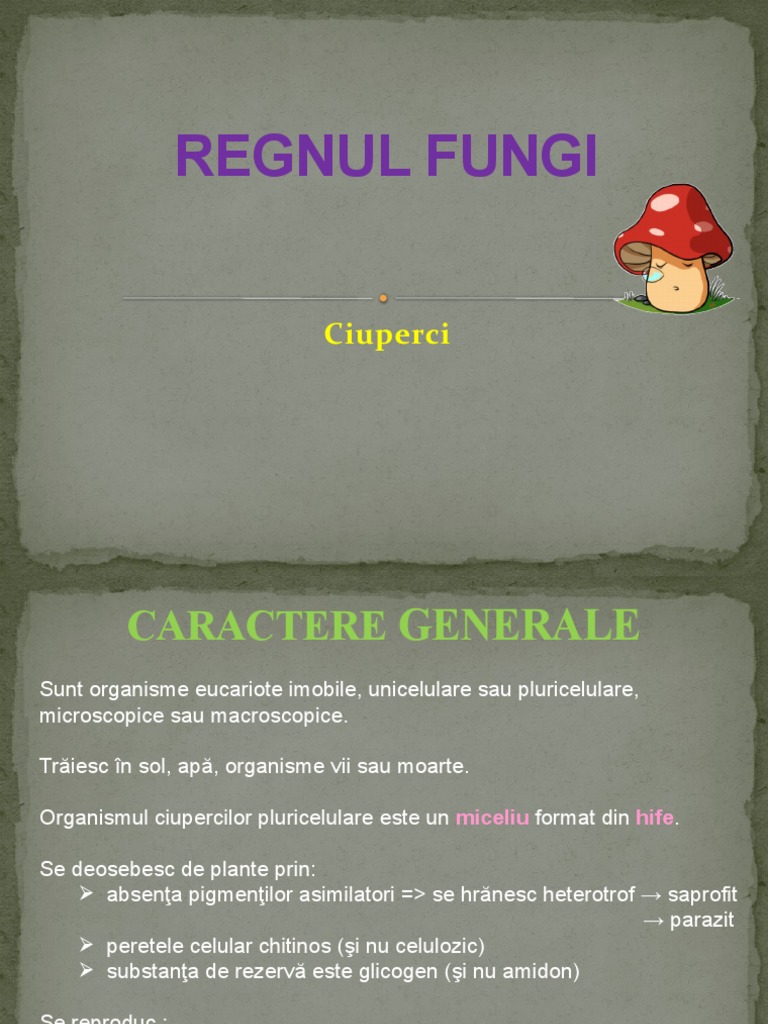 Regnul Fungi | PDF