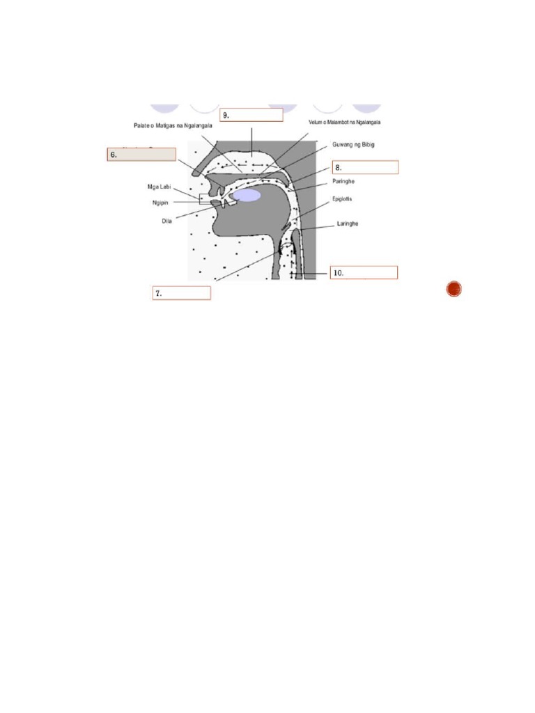 Ulo Ni Oscar Quiz | PDF