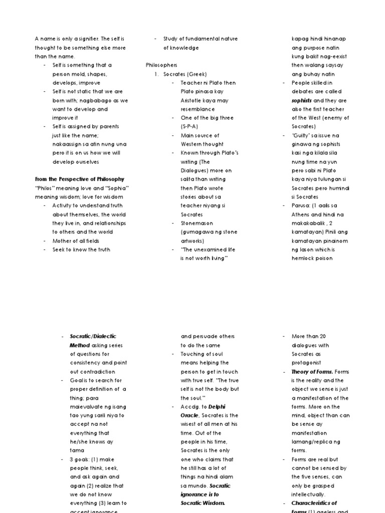 Understanding The Self Notes | PDF | Rationalism | Socrates