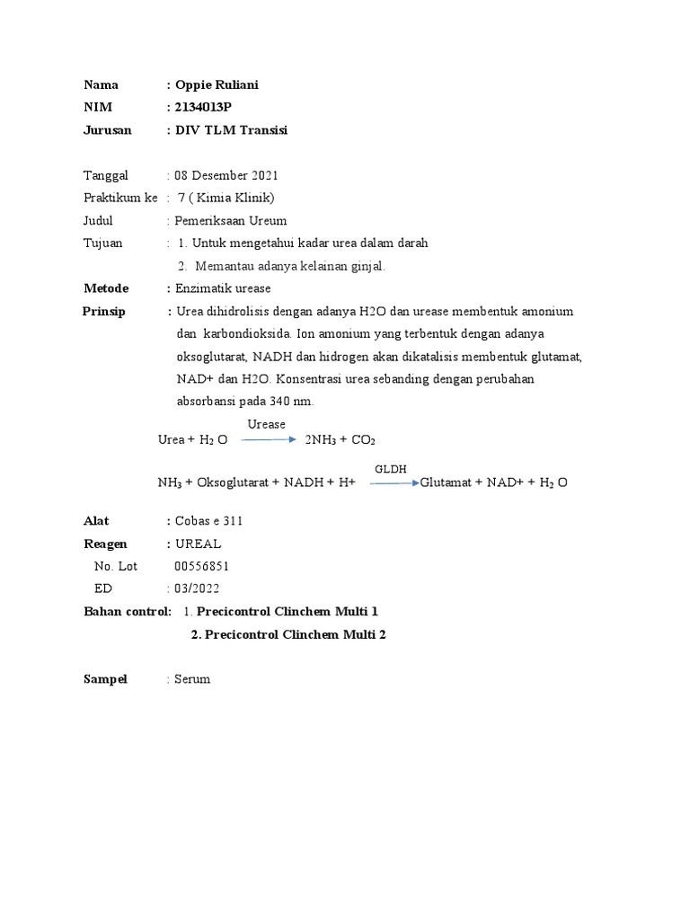 KIMIAKLINIK Pemeriksaan Ureum (7) Oppie R | PDF