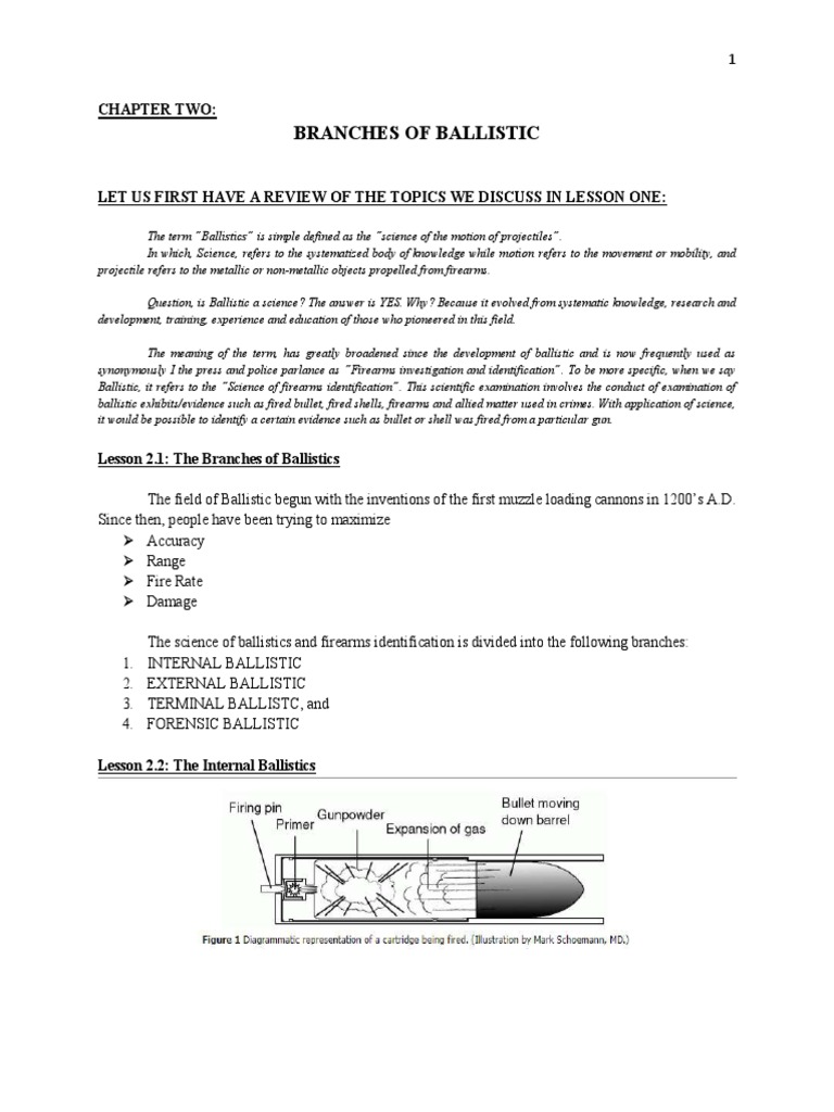 Branches of Ballistic: Chapter Two | PDF | Gun Barrel | Bullet
