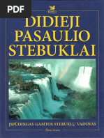 Sandra Janusoniene - Baltu Zenklai Ir Simboliai | PDF