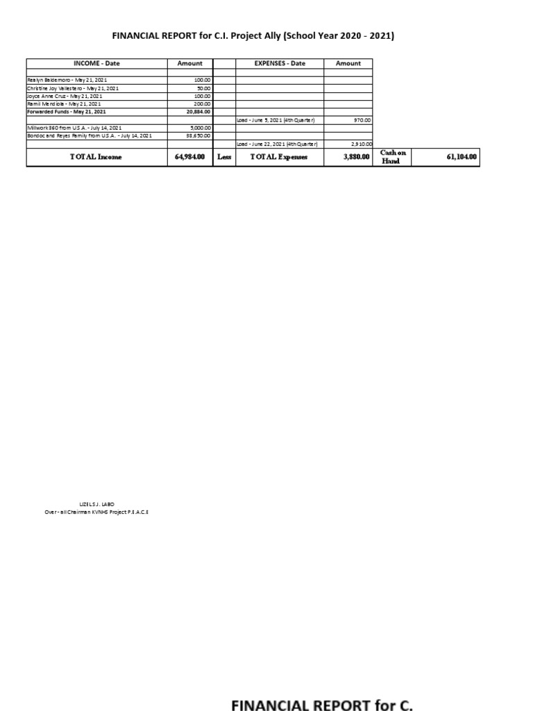 C.I. Project Ally Financial Summary | PDF