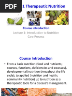 Soap Notes Guidelines | PDF | Diet (Nutrition) | Diet & Nutrition