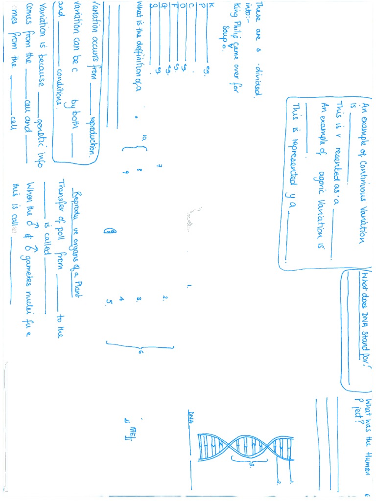 Year 9 Revision Genetics and Evolution | PDF