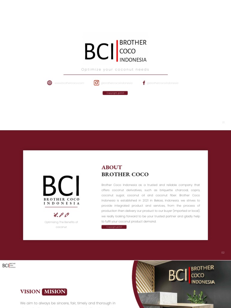 SAB Company Profile | PDF | Coconut | Customer