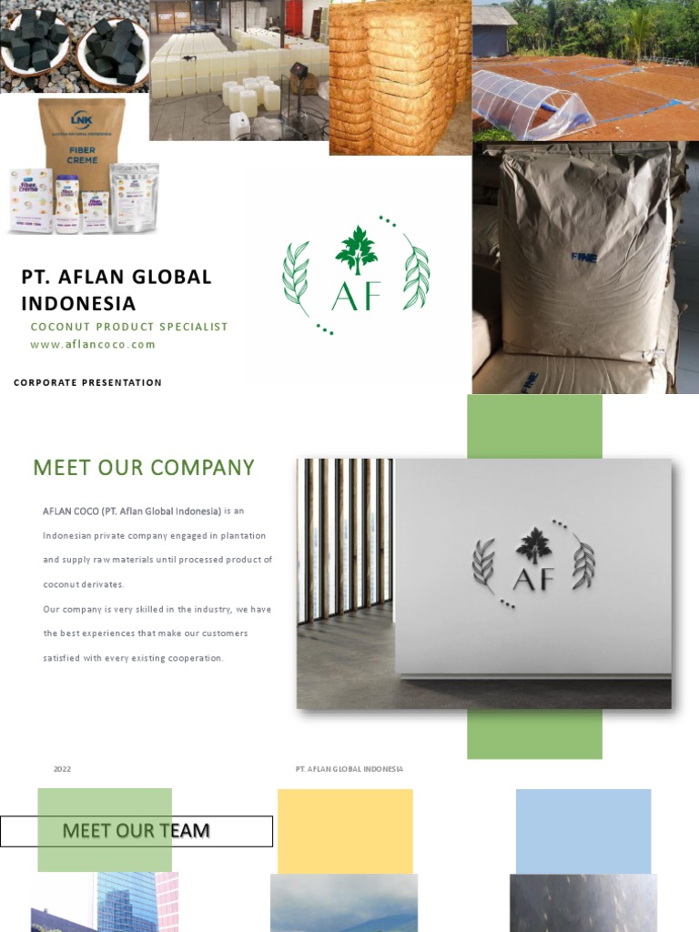 Aflan Global - Coconut Specialist | PDF | Coconut | Indonesia