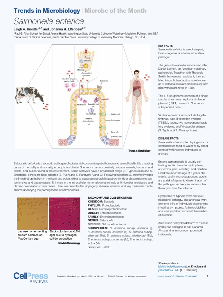 10 1016@j Tim 2019 05 002 | PDF | Salmonella | Medical Specialties