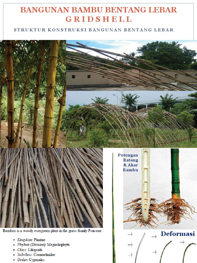 0.1.1.bangunan Bambu Bentang Lebar - Gridshell SKBBL September 2021 | PDF