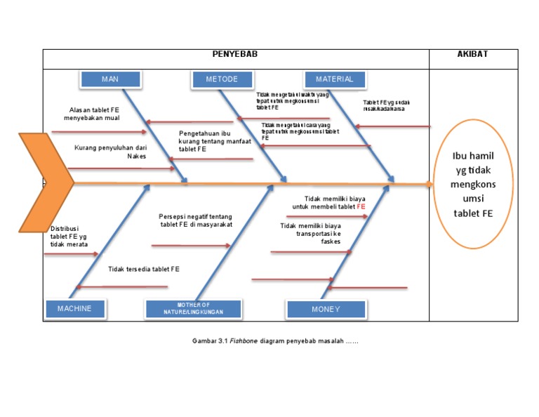 Latihan Pengisian Diagram Fishbone PKL d3 | PDF