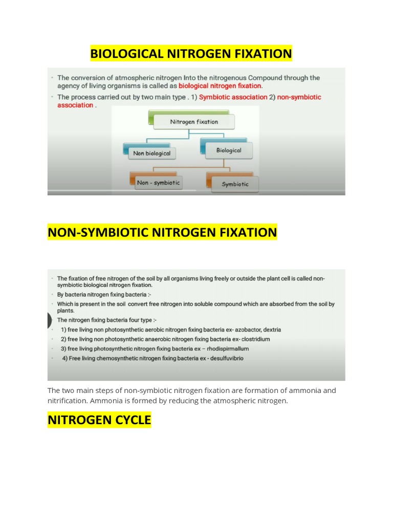 Biological Nitrogen Fixation: A Breakdown of Non-Symbiotic and ...