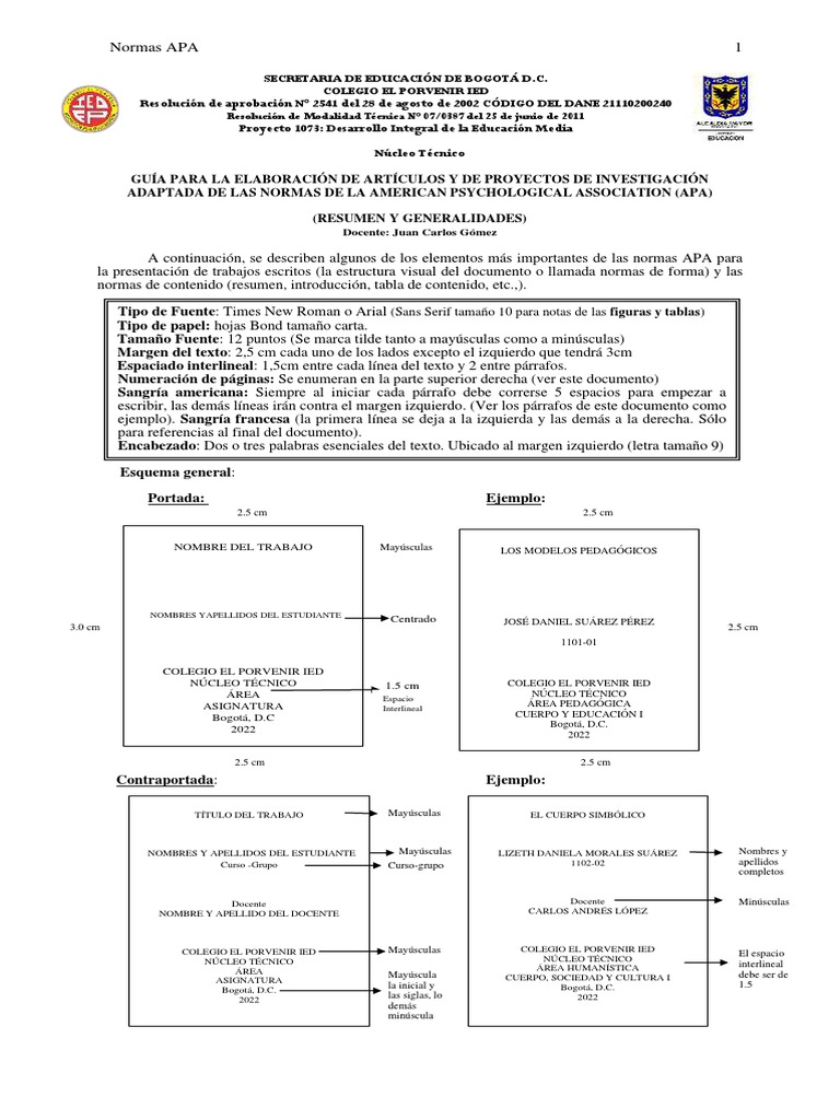 Normas APA 2022 Actualizadas | PDF