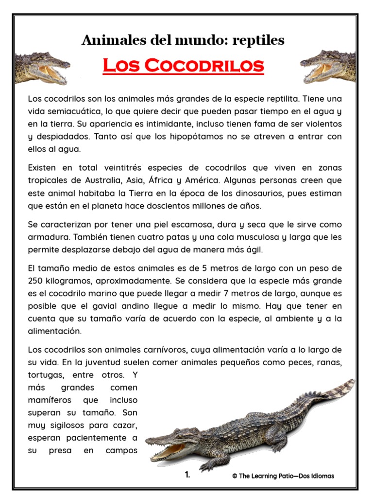 Cocodrilo B | PDF | Cocodrilo | Taxa
