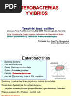 Tabla de Identificacion Enterobacterias | PDF