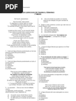 Preguntas para Prueba Poesia | PDF