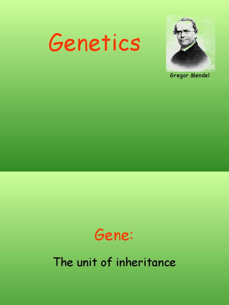 Lesson 2 3 Genetic Inheritance and Punnett Squares Recovered | PDF ...