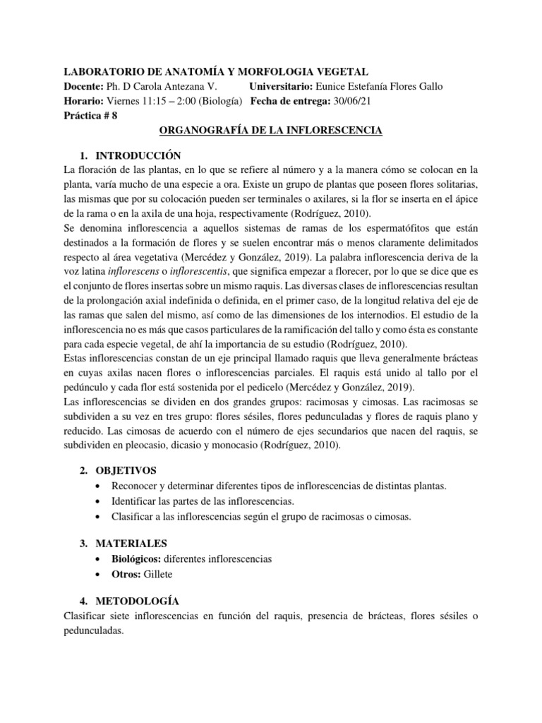 Práctica 8 Organografia de La Inflorescencia | PDF | Organismos ...