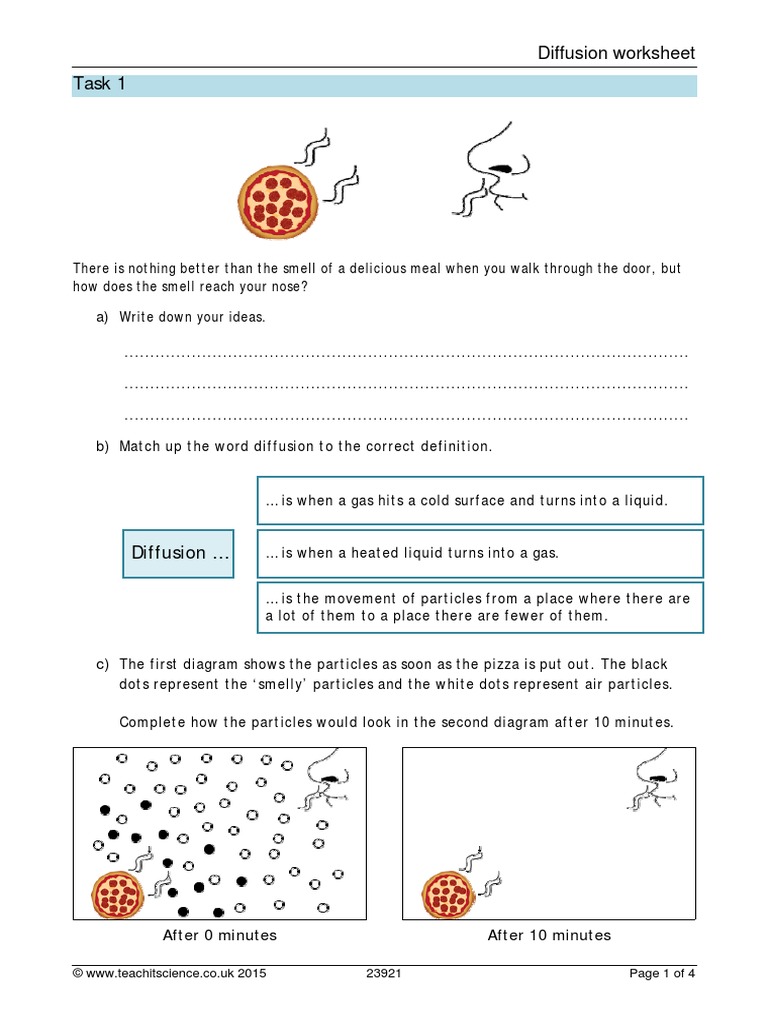 Task 1: Diffusion Worksheet | PDF | Diffusion | Gases