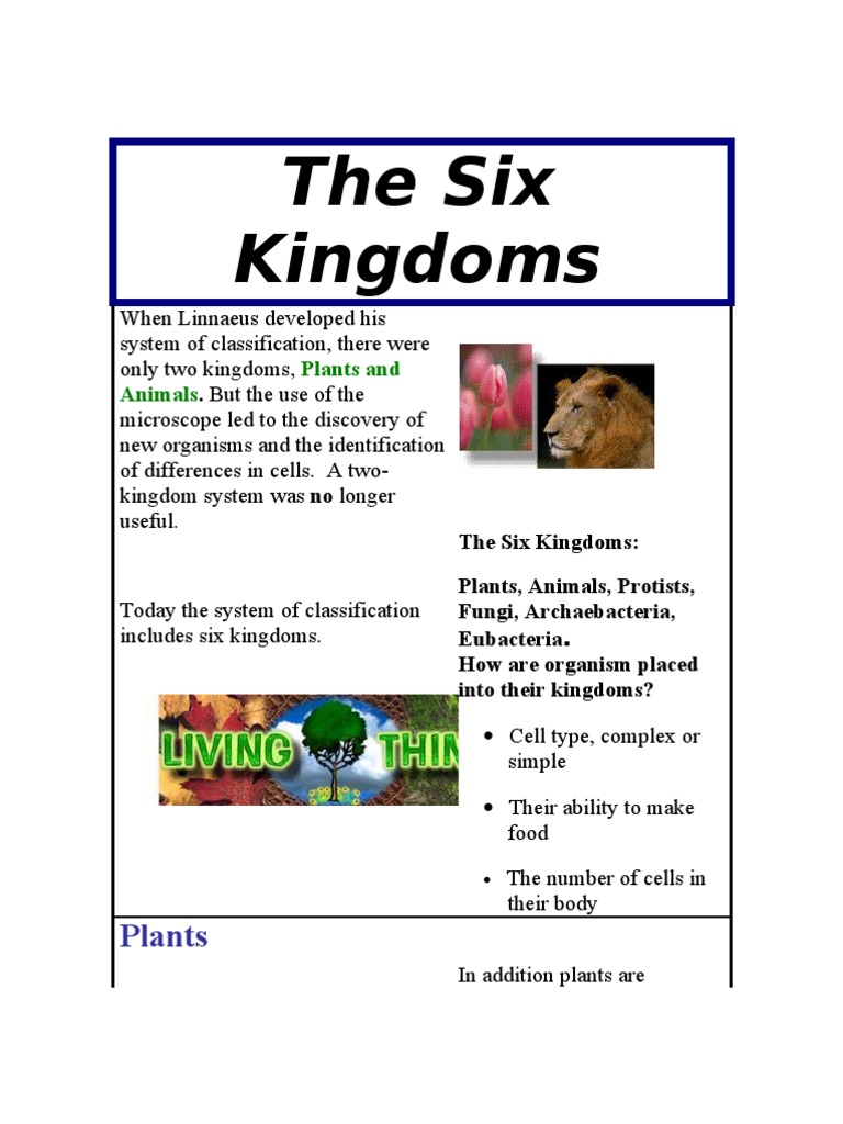 The Six Kingdoms | PDF | Plants | Organisms