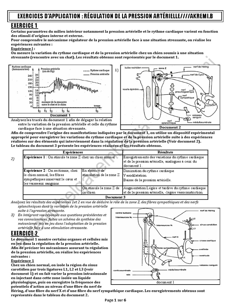 EXERCICES D'App Pression Artériell Et Corr | PDF | Angiotensine | Spécialités médicales
