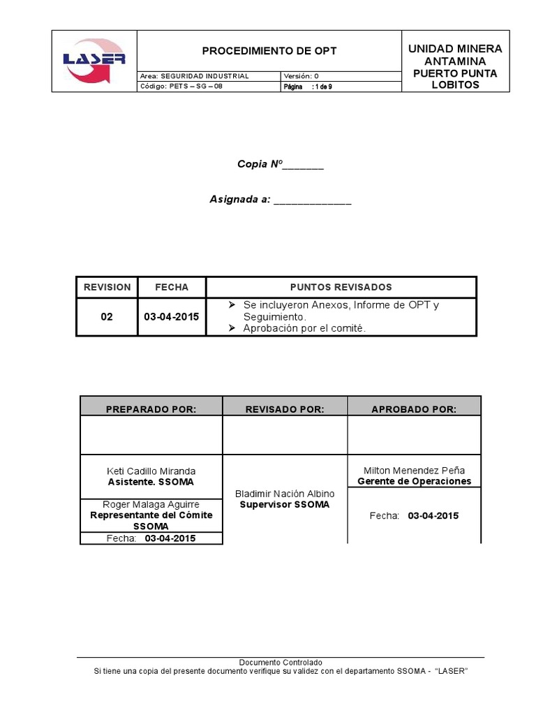 Procedimiento de Opt | PDF