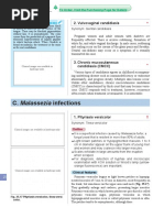 SAMPLE BNAP 2023 2025 - Template 1 | PDF | Human Nutrition | Malnutrition