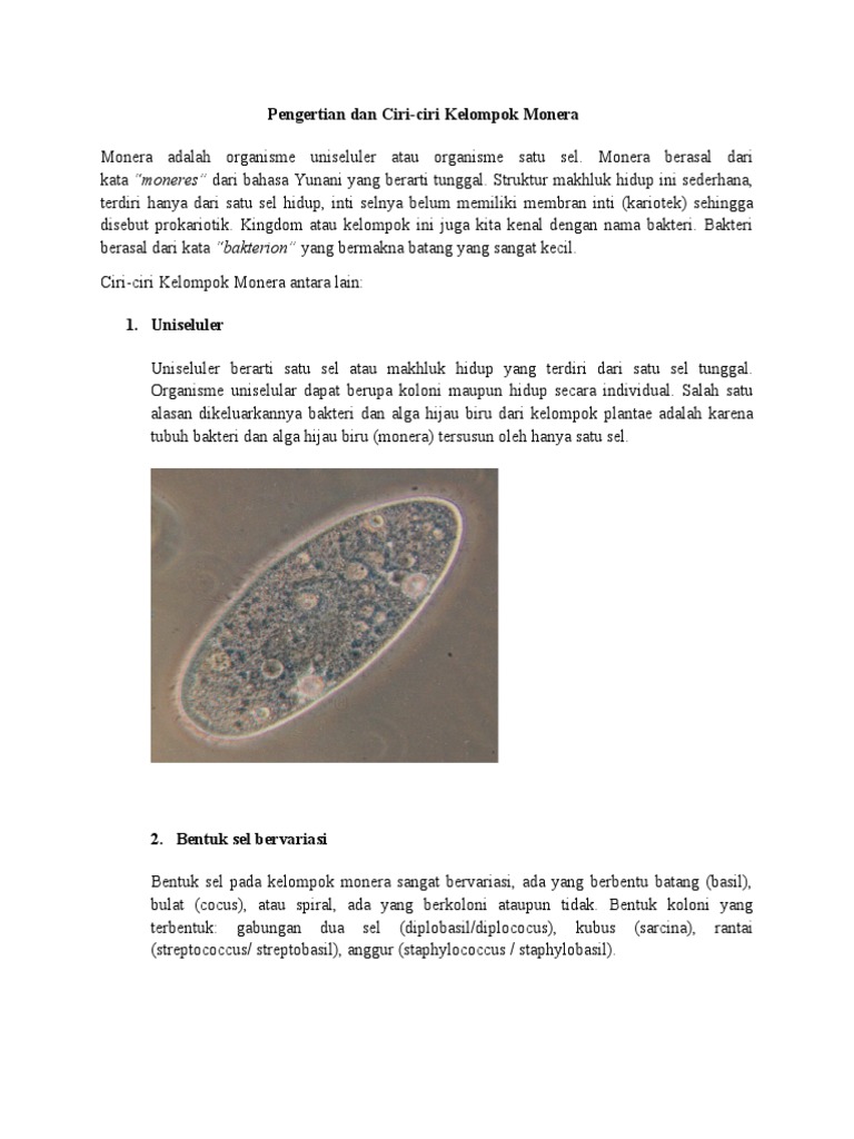 Ciri-ciri dan Pengertian Monera | PDF | Sains & Matematika