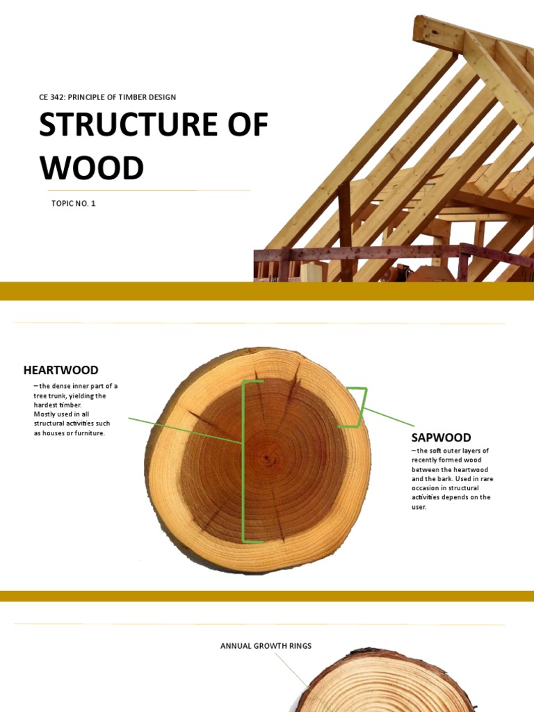 Structure of Wood: Ce 342: Principle of Timber Design | PDF